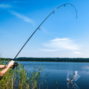 17 Common Fishing injuries (Prevention & Treatment)