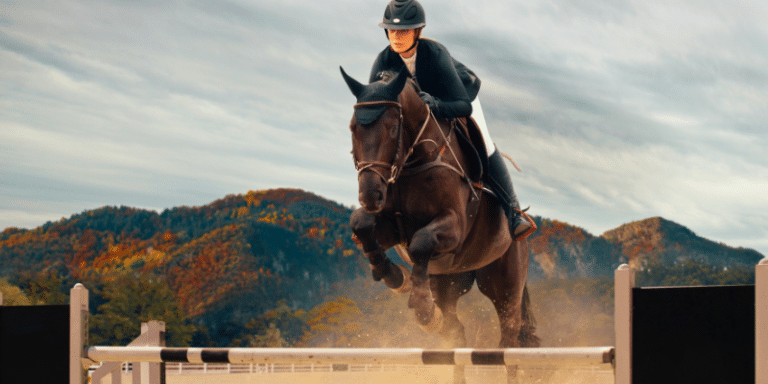 11 Most Popular Sports in Netherlands