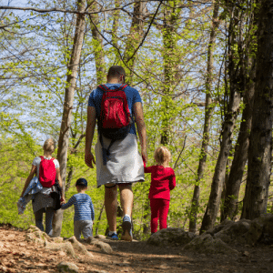 Horse Herd Name Generator [Free AI Tool]