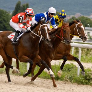 Horse Herd Name Generator [Free AI Tool]