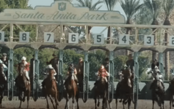10 Best Horse Racing Movies, Shows, and Documentaries