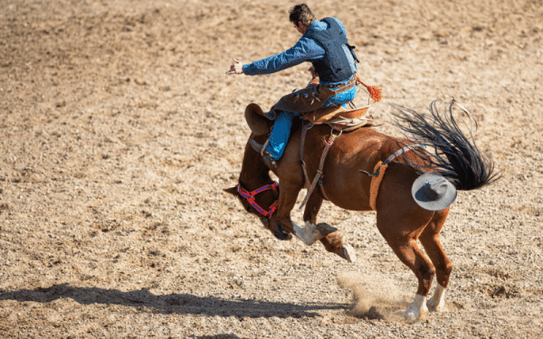 Rodeo History: Timeline & How it started