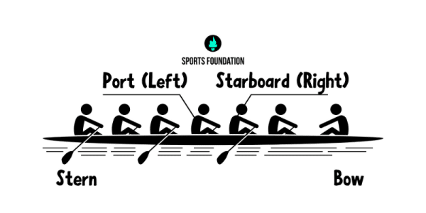 3 Rowing Positions & Roles Explained (Chart)