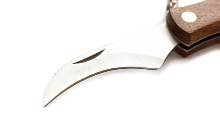 Skydiving Equipment List: 17 Items (with Pictures)