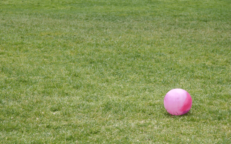 Kickball Equipment List: 12 Items (with Pictures)