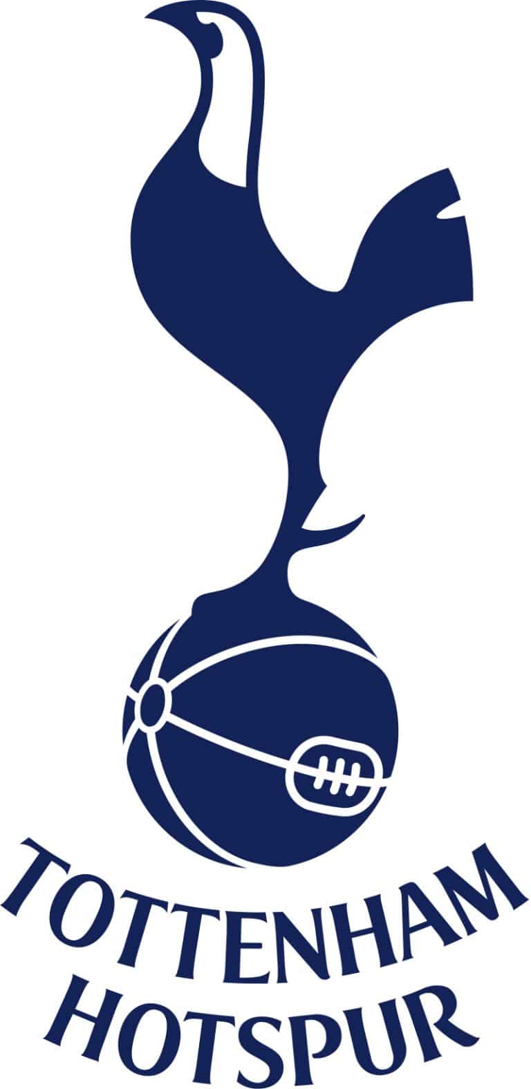 Tottenham Hotspur Color Codes