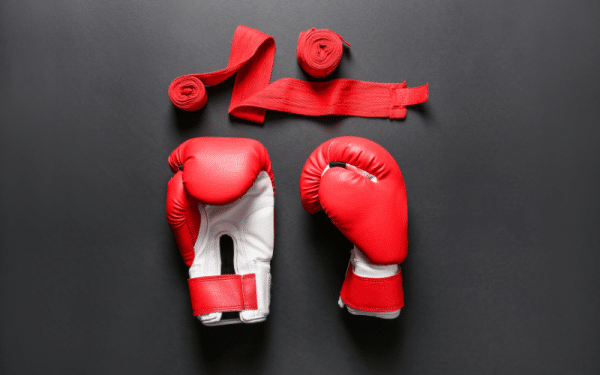 Top 11 Best Brands for Boxing in the World