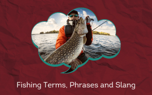 30 Must-Know Fishing Terms, Phrases and Slang