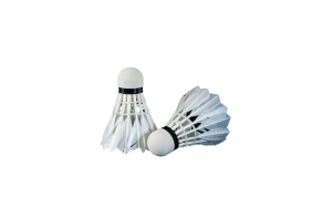 Badminton Equipment List: 19 Items (with Pictures)