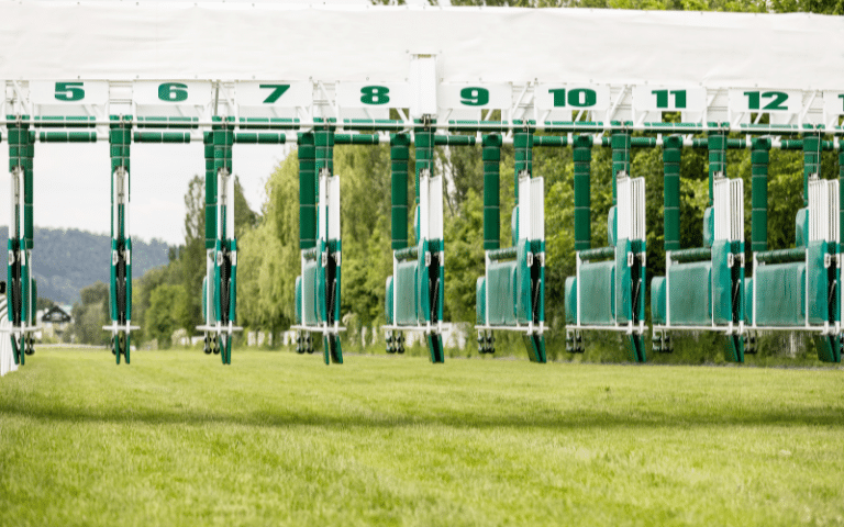 Horse Racing Equipment List: 20 Items (with Pictures)